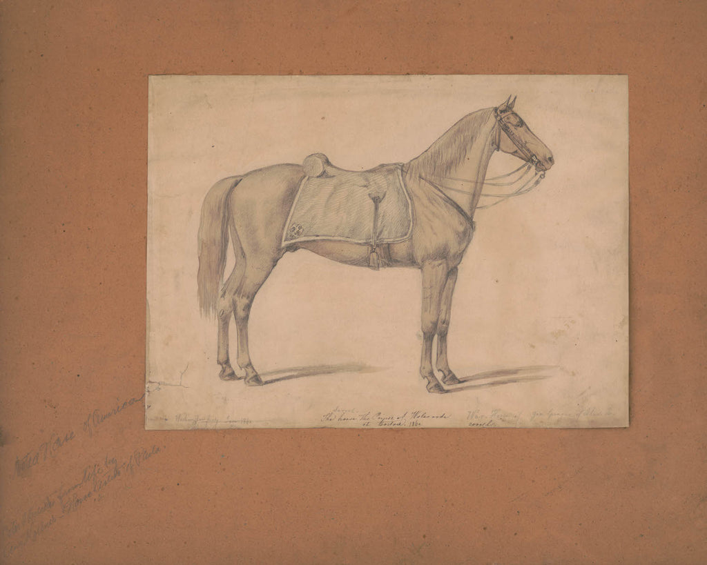 The Royal Sorrel Horse Print, 1860 – Abigail Bell